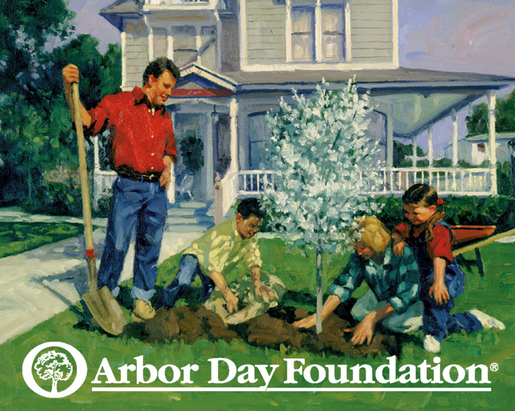 Celebrate National Arbor Day by Planting Trees - Artvoice